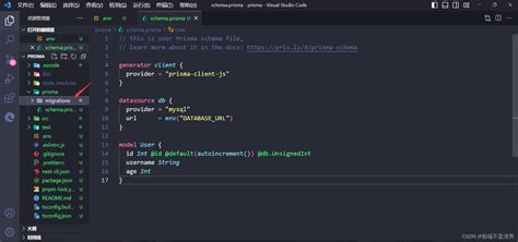号称下一代nodejs，typescript以及go的orm的prisma 浅谈如何在nestjs中使用nestjs Prisma Csdn博客