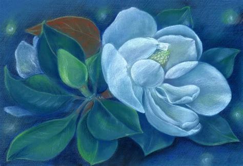 3139개 Magnolia Dibujo 스톡 일러스트레이션 Depositphotos