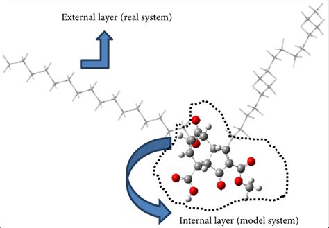 Model Of A Two Layer Partitioning Of The Structure Of A Manzamenone For