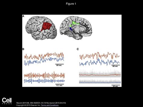Making Decisions Based On Autobiographical Memories Ppt Download