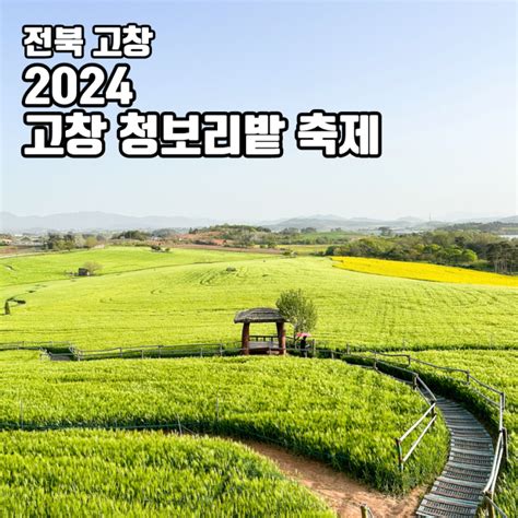고창 고창청보리밭축제 주차장 일정 먹거리 실제 다녀온 축제 기본정보 네이버 블로그