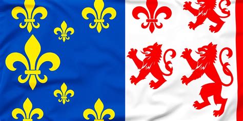 Flag Design Featuring Yellow Fleur De Lis And Red Lions On White Background