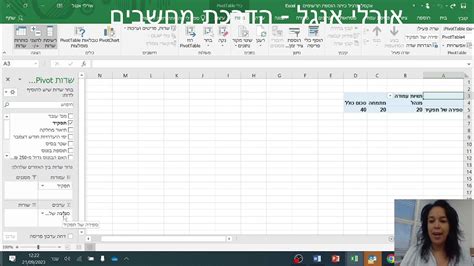 שטראוס סרטון הדרכה באקסל הוספת טבלת Pivot Youtube