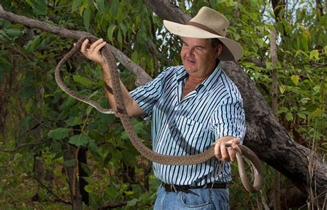 Oenpelli Python Facts And Pictures