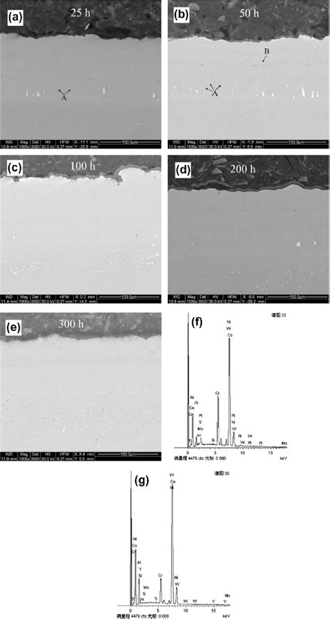 A E Cross Sectional Sem Micrographs Of Specimens With A