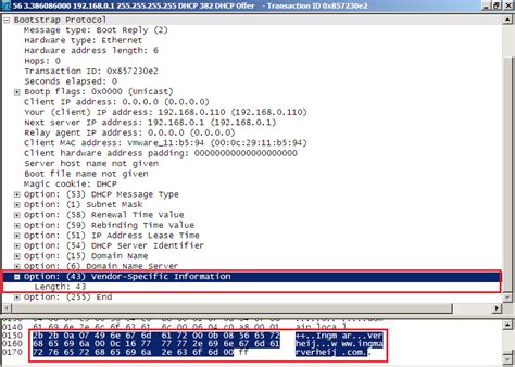 Microsoft Vendor Specific Dhcp Options Explained And Demystified