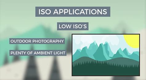 Everything You Need To Know About Iso Video Shutterbug