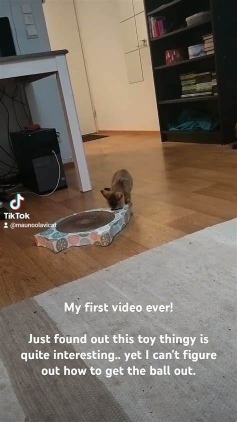 My First Video Me Playing And Having Fun YouTube