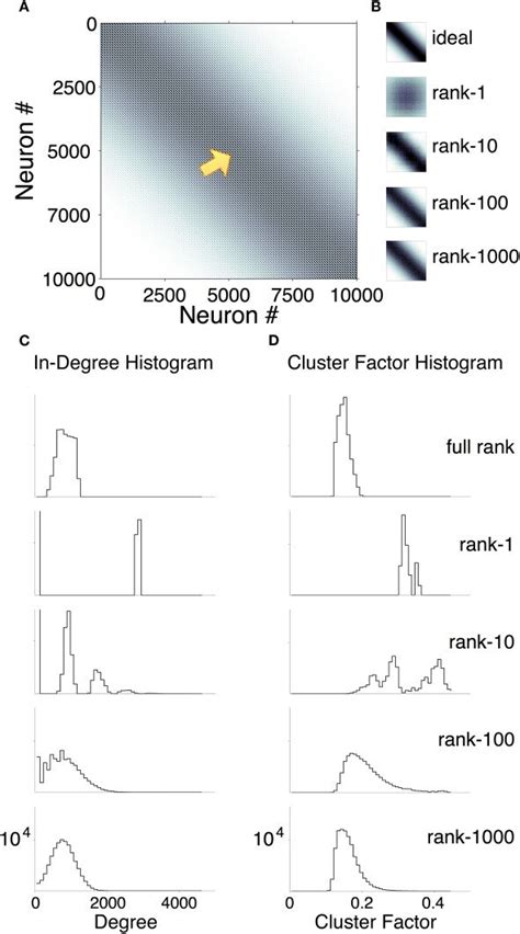 Factorization Of A 10000 Node Probability Matrix And Associated