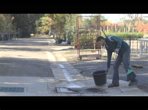 Beef Cattle Farm Biosecurity