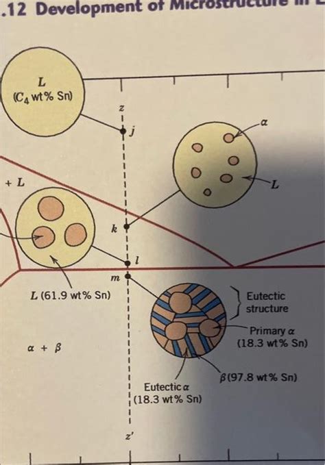 Solved Sketch The Microstrutcure From Given Sketch Of