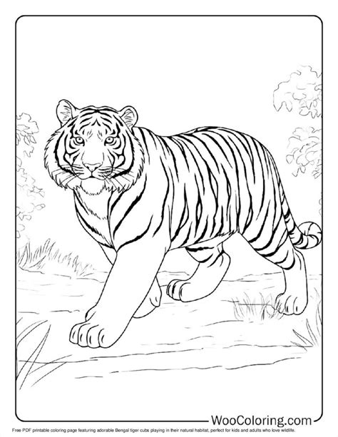 Chicago Cubs Printable Coloring Pages 2025