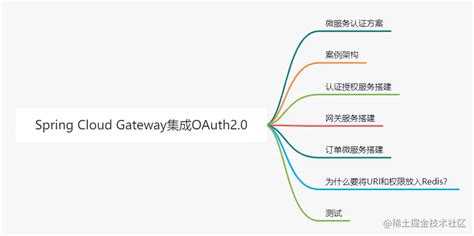 纯干货！spring Cloud Gateway整合oauth20 实现分布式统一认证授权 阿里云开发者社区