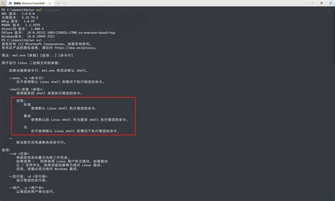Translation Issues Issue Microsoft WSL GitHub