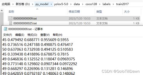 Coco、3d图像分割 Csdn博客