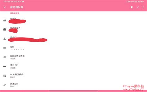 使用一键脚本部署 Tuic V5 节点的图文教程 Xtrojan黑科技