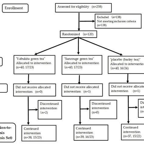 Flowchart Of The Study N Total Participants Male Female Download Scientific Diagram