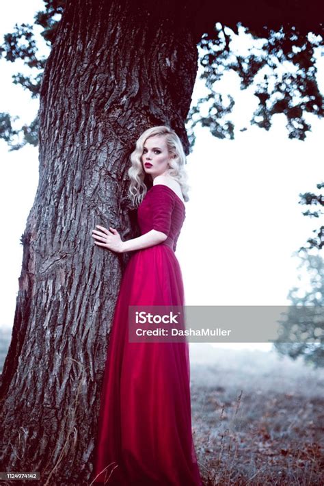 패션 동화 숲에 아름 다운 빨간 드레스에 화려한 젊은 금발 여자 마법의 분위기입니다 샷 토닝 Retouched 가을에 대한 스톡 사진 및 기타 이미지 Istock