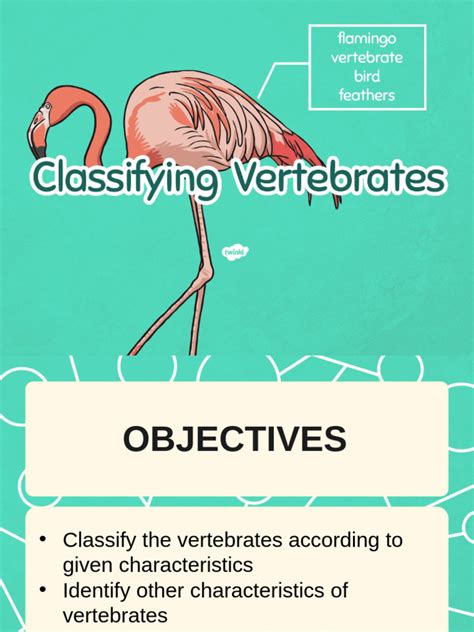 Science Classifying Vertebrates Pdf Science Classifying Vertebrates Pdf