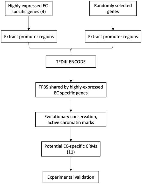 Bioinformatics Based Approach Used To Identify And Test 11 Potential Download Scientific