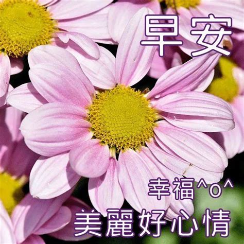 人生苦短珍惜当下一切随缘 流转 变化 方寸