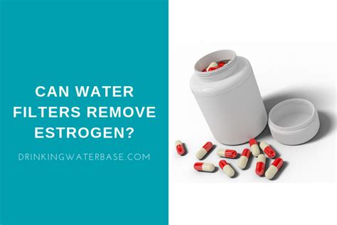 Can Water Filters Remove Estrogen Drinking Water Base