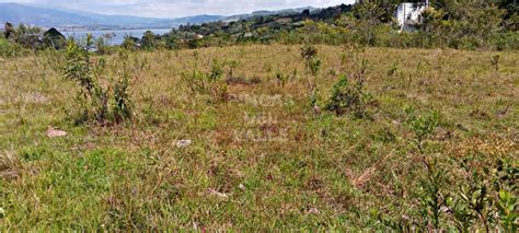 Calima 6 300 M2m Lote En Venta Fincas Del Valle