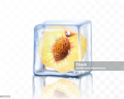 얼음 조각에 있는 신선한 잘 익은 복숭아 반쪽이 투명한 배경에 분리되어 있다 돌이 있는 냉동 복숭아 사실적인 3d 벡터 일러스트레이션 3차원 형태에 대한 스톡 벡터 아트 및