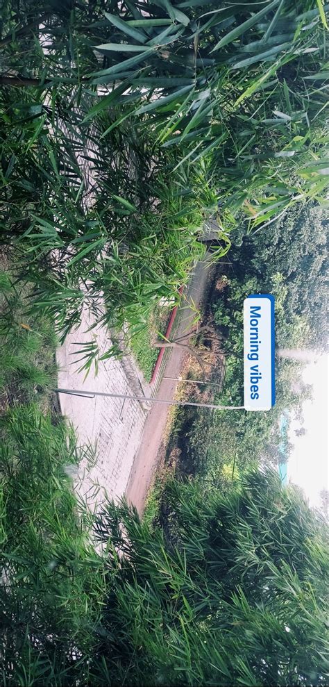 Priya Sakshi Posted On Linkedin