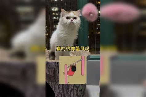 叔叔阿姨哥哥姐姐们我长得像鳌拜吗 阿姨 哥哥 叔叔