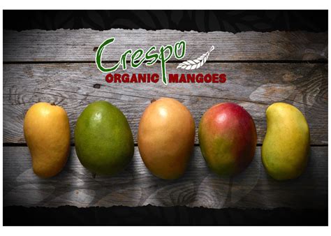 Crespo Organic Starts Shipping Mexican Mangoes The Packer