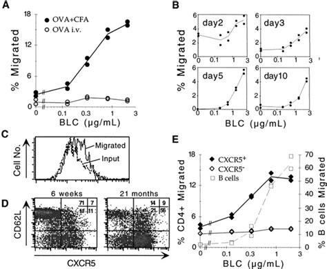 BLC Chemotactic Response Of In Vivoactivated OVA Specific T Cells And Download Scientific
