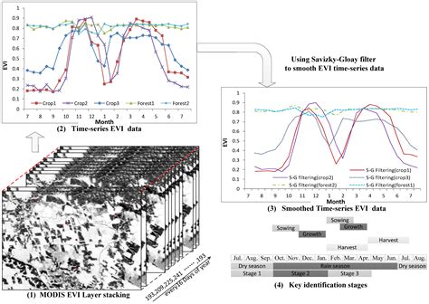 Mapping Fractional Cropland Distribution In Mato Grosso Brazil Using Time Series Modis Enhanced