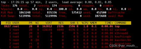 优化命令之top——实时显示进程动态查看进程信息top I Csdn博客