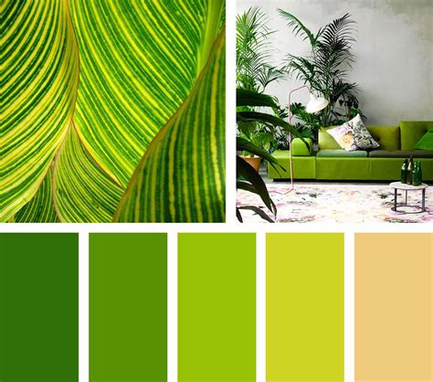 Combinación Paleta De Colores Decoración Verde Limon Fiesta De