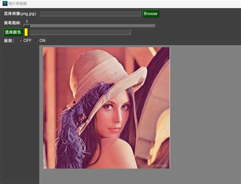 Python实现一个图片查看器——可拖动、缩放和颜色画笔python制作图片查看器 Csdn博客