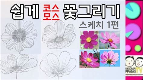 가을미술 가을꽃 쉽게 꽃 그리기 코스모스 초보자를 위한 쉽게 꽃스케치 하는방법 꽃 잘 그리기 시점에따른 꽃의모양변화 How