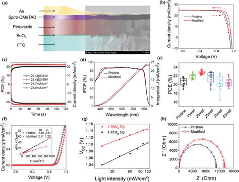 A The Cross‐section Scanning Electron Microscopy Sem Image Of A