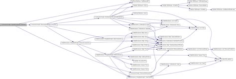 Raknet Connectiongraph Class Reference