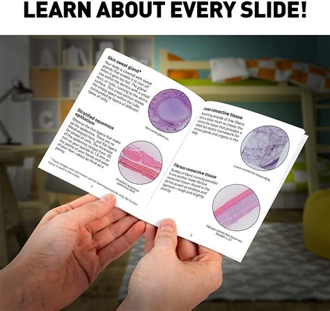 Научный STEM набор Стекла с образцами для микроскопа (25 шт) от ...