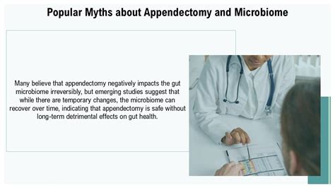 Top 10 Appendix Template Powerpoint Presentation Templates In 2025