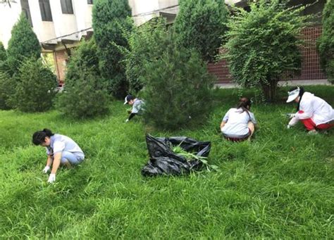 后勤保障处党委组织开展净环境拔野草除杂物义务劳动 后勤管理部后勤党委