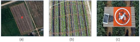 Table 1 From Boosted Mask R Cnn Algorithm For Accurately Detecting