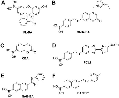 Small Molecule Probes For Peroxynitrite Detection Pmc