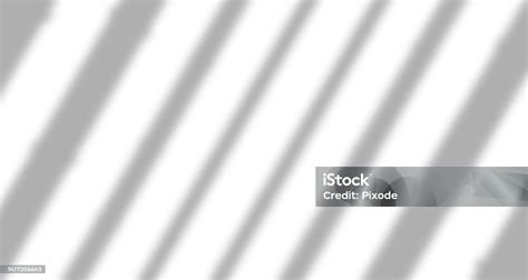 사실적인 흐릿한 자연광 나뭇잎 손바닥 및 창 그림자 오버레이가 벽 종이 또는 프레임 질감 추상 배경 여름 봄 가을에 제품 프레젠테이션 연단 및 모형 계절에 적용됩니다 0명에