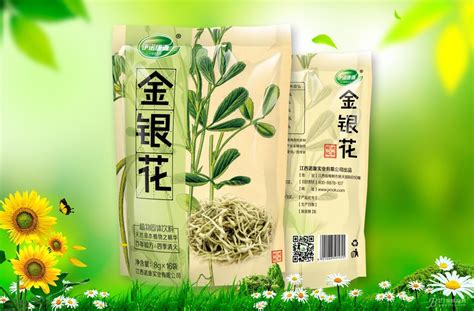 金银花凉茶招商 招商 21保健品网