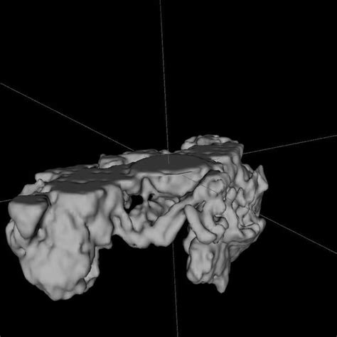 Example Segmentations A A Good Segmentation Of The Liver With Some