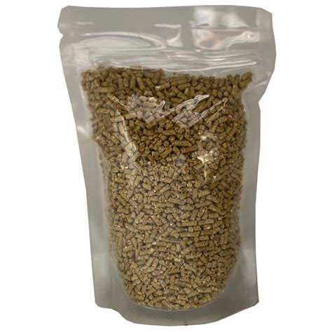 Home Aussie Parrotlets