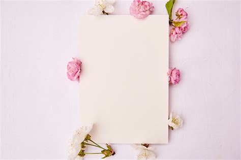 봄 화이트와 핑크 꽃섬세한 여성 문구 카드 모형 로맨틱 한 결혼식 생일 초대 어머니의 날 수직 모의 카드 개념 복사 공간 0명에 대한 스톡 사진 및 기타 이미지 Istock