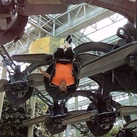 Queen Shell Spinner Youtube